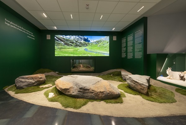 Museo Regionale di Scienze Naturali Efisio Noussan | MidaTicket